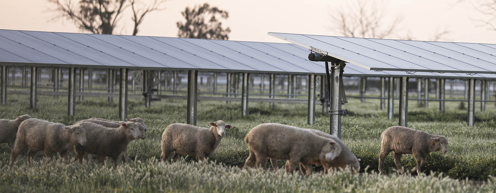 We're committed to a zero-carbon world - Explore our impact