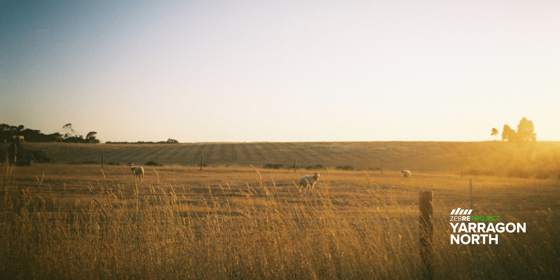 ZEBRE PROJECTS - ZEN Energy